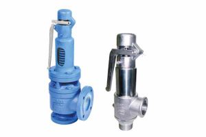 Spring Loaded Safety Valve, Spring Loaded Valves at Best Price