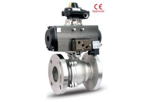2 PC. Design “OKM” Floating Ball Valve Manufacturer, Supplier ...